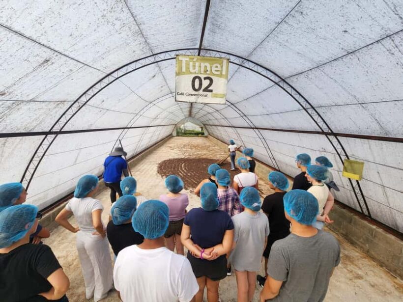 Monte Alto Coffee Tour: Jarabacoa Plantation Experience - Who will enjoy this tour?