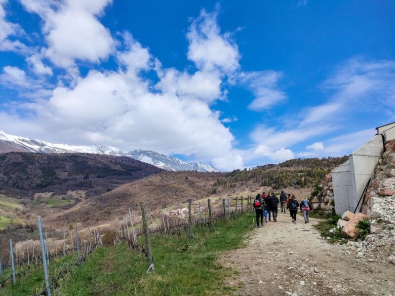 Monte Baldo: Organic Mountain Wines Tour and Tasting - Key Points