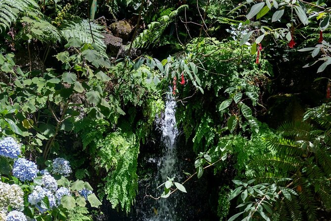 Monte Palace Tropical Garden Tour - Tour Overview