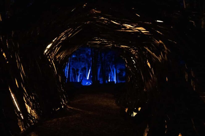 Montebello, QC: Omega Park ONIRO Immersive Experience at Night - Final Thoughts