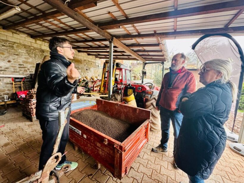 Montecatini Terme: Olive Grove Tour with Oil Tasting - Authenticity and Personal Touch