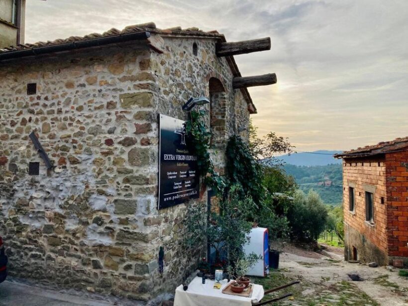 Montecatini Terme: Olive Grove Tour with Oil Tasting - Is This Tour Right for You?