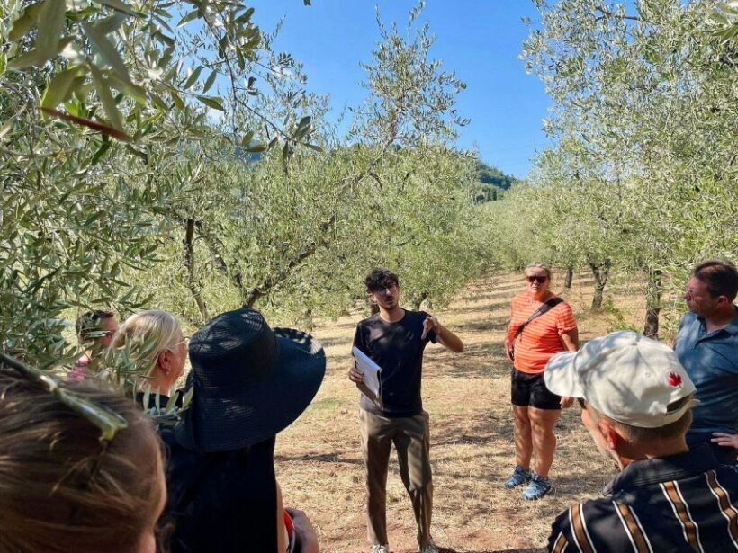 Montecatini Terme: Olive Grove Tour with Oil Tasting - Frequently Asked Questions