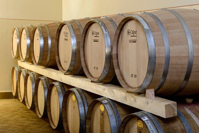 Montefalco: Winery and Oil Mill Tour in With Light Lunch - Umbrian Lunch Experience