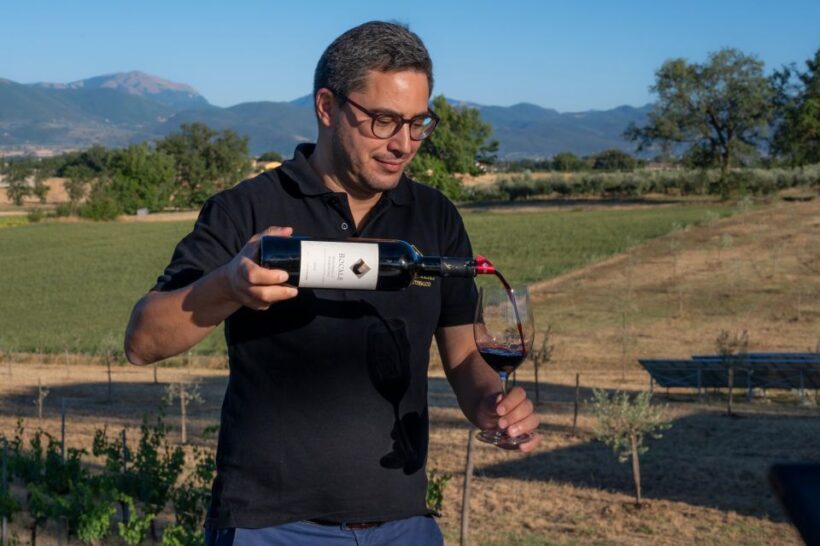 Montefalco: Winery and Vineyard Tour and Private Tasting - Frequently Asked Questions