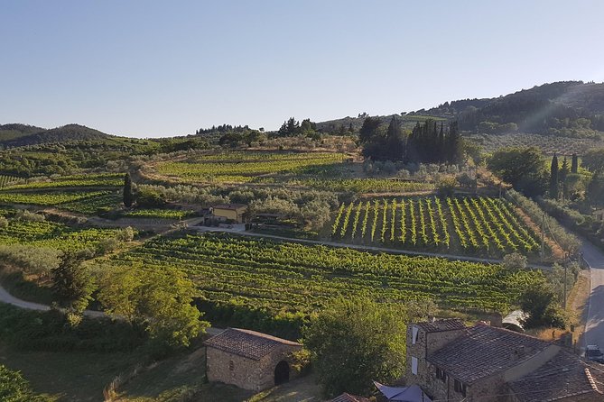 Montefioralle Winery - Tour and Wine Tasting in Chianti - Meeting and Logistics