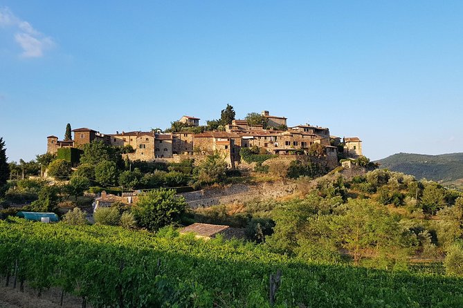 Montefioralle Winery - Tour and Wine Tasting in Chianti - Complementary Food Pairings