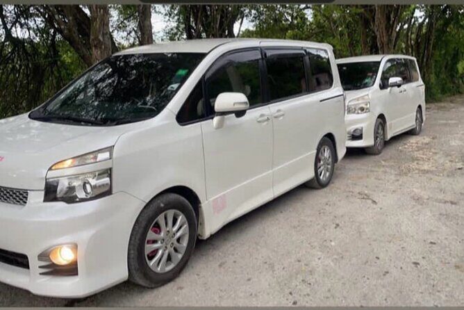 Montego Bay Airport MBJ to Montego Bay Areas - Who Should Book This Transfer?