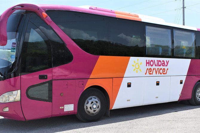 Montego Bay Airport (MBJ) Transfer One-Way or Round-Trip to Hotel - Reading the Reviews: What Travelers Say