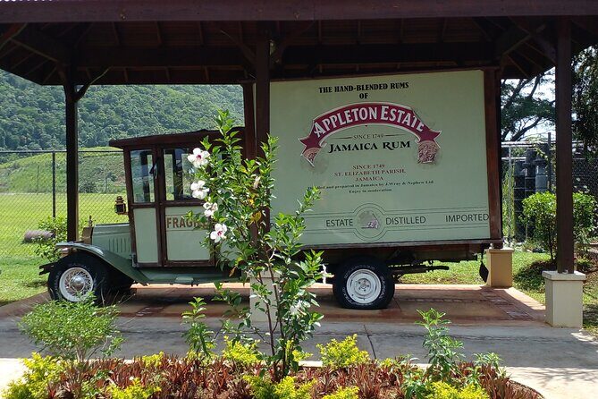 Montego Bay Airport Private Taxi Transfer To Negril Hotels - Final Thoughts on the Service