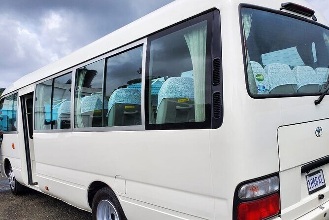 Montego Bay Airport Private Transfers - Practical Details & Tips for Travelers