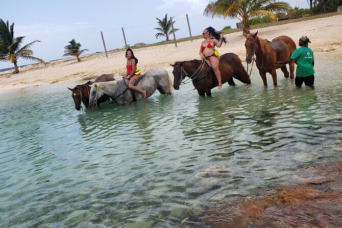 Montego Bay Airport Round Trip Transfer - On the Way to Your Accommodation