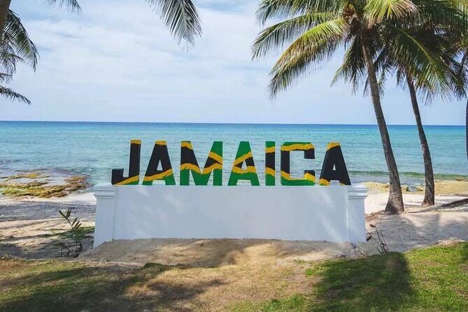 Montego Bay Airport Transfer - Experience and Feedback from Travelers