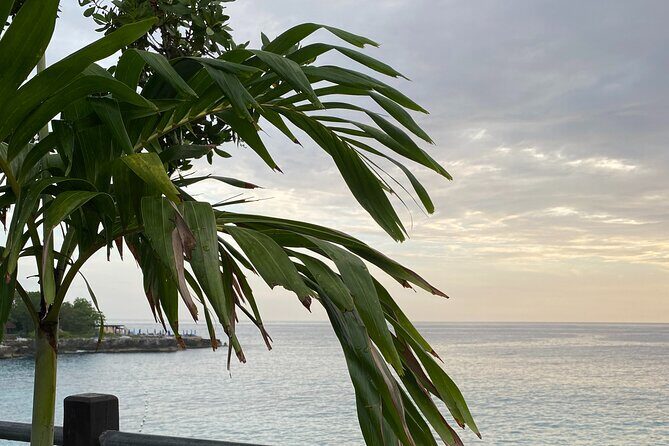 Montego Bay Airport Transport to Sandals White House - What to Expect from the Transfer