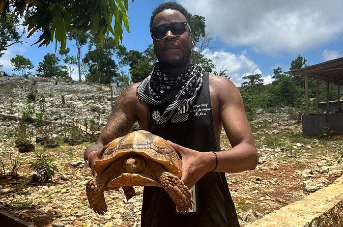 Montego Bay ATV Experience Tickets and Admissions - Key Points