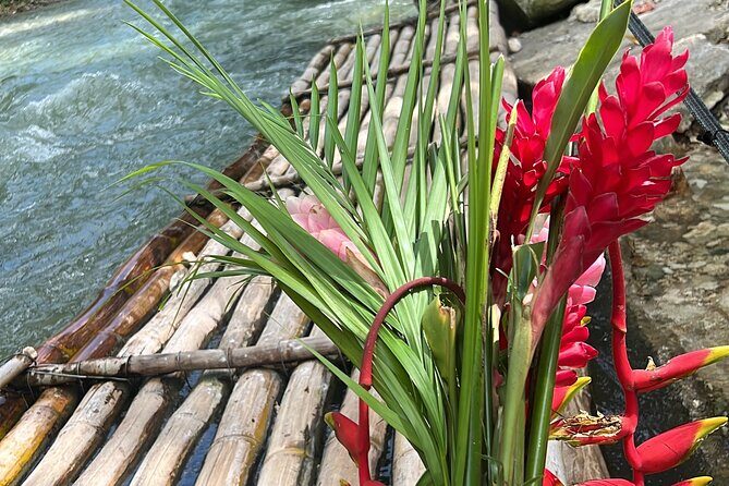 Montego bay Bamboo Rafting & Sunset at Ricks cafe Negril - The Sum Up: Is This Tour Worth It?