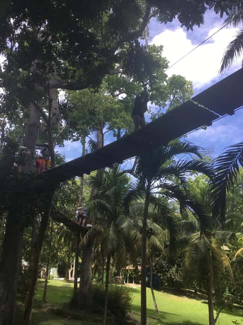 Montego Bay: Blue Hole, Dunn's River Falls, and Zipline Tour - Key Points