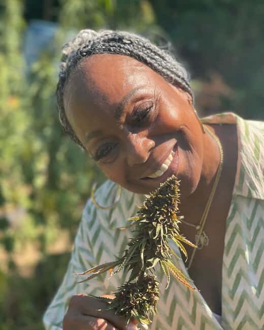 Montego Bay: Cannabis Farm, Bamboo Rafting, & Foot Massage - Who Should Consider This Tour?