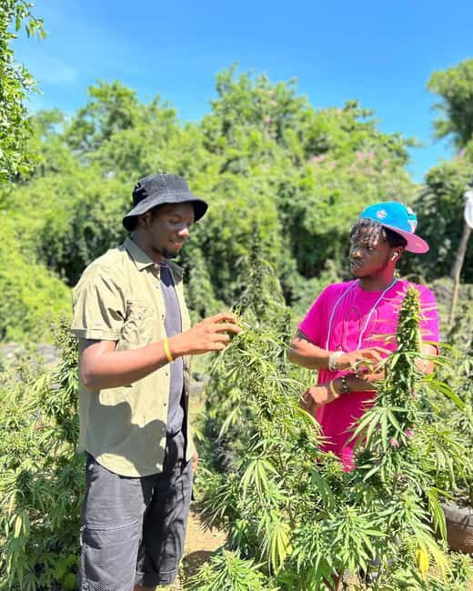 Montego Bay: Cannabis Farm, Bamboo Rafting, & Foot Massage - Final Thoughts