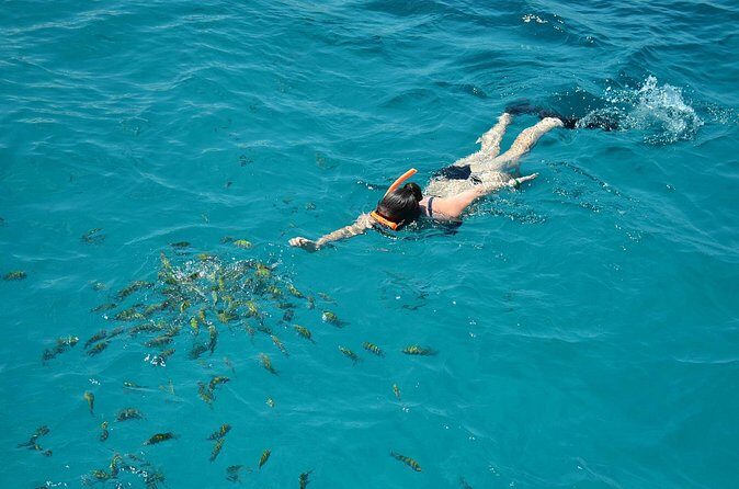 Montego Bay Catamaran Cruise and Snorkeling Tour from Falmouth - The Downsides