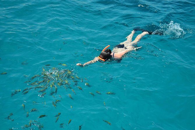 Montego Bay Catamaran Cruise and Snorkeling Tour from Falmouth - The Sum Up