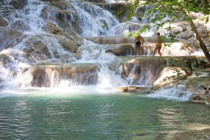 Montego Bay: Chuck Norris Falls & Dunn's River Falls Tour - Dunn’s River Falls: The Iconic Attraction