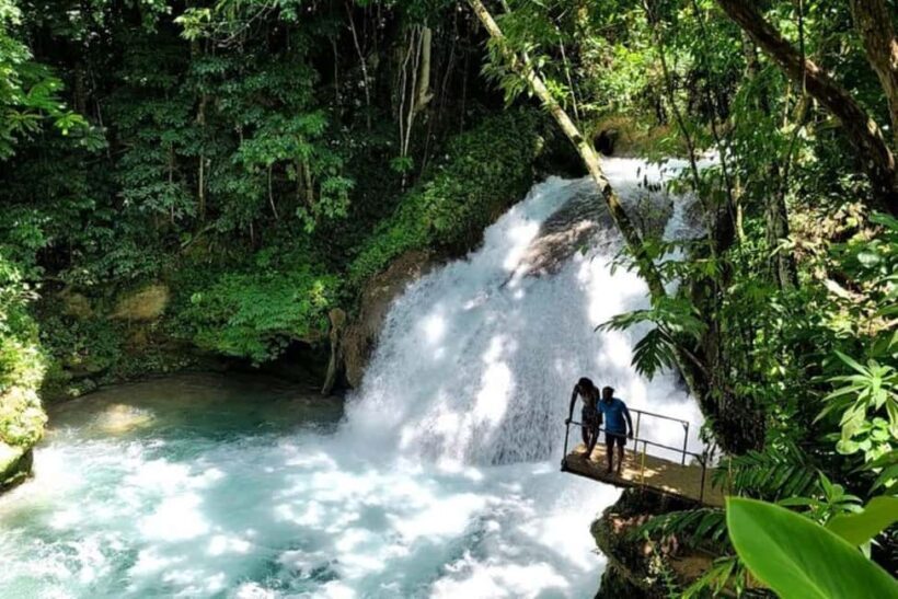 Montego Bay: Chuck Norris Falls & Dunn's River Falls Tour - Price and Value