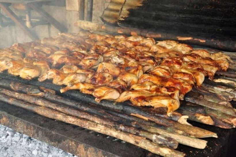 Montego Bay: Chuck Norris Secret Falls Tour With Lunch - The Thrilling Cliff Jumps and Rope Swings