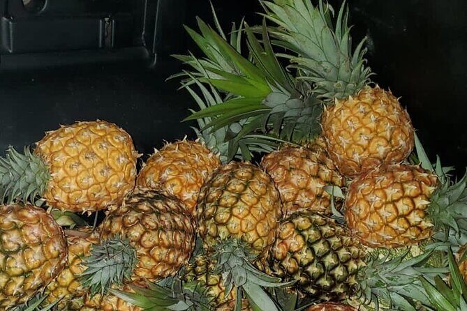 Montego Bay City and Food Tour All Inclusive Experience - In-Depth Look at the Tour