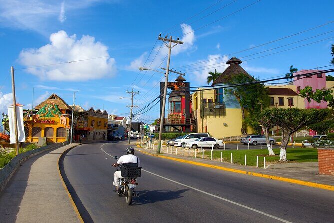 Montego Bay City Highlights & Bird Sanctuary & Shopping - Practical Tips for Your Tour