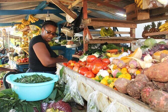 Montego Bay City Highlights & Bird Sanctuary & Shopping - The Sum Up: Is This Tour Right for You?