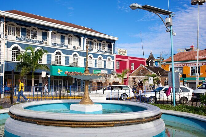 Montego Bay City Highlights & Sightseeing Tour with Shopping - Who Should Book This Tour?