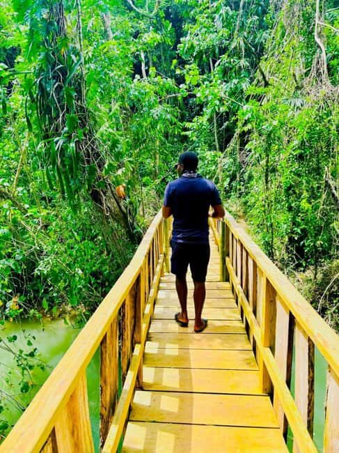 Montego Bay: Cockpit Caves Experience - Key Points