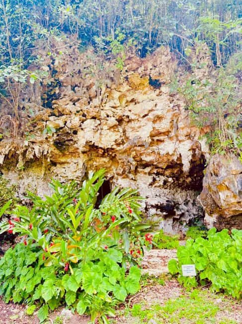 Montego Bay: Cockpit Caves Experience - The Sum Up