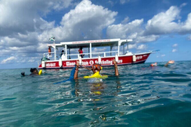 Montego Bay Cruise Ship Port Transportation Service 4 people & up - Who Should Consider This Service?