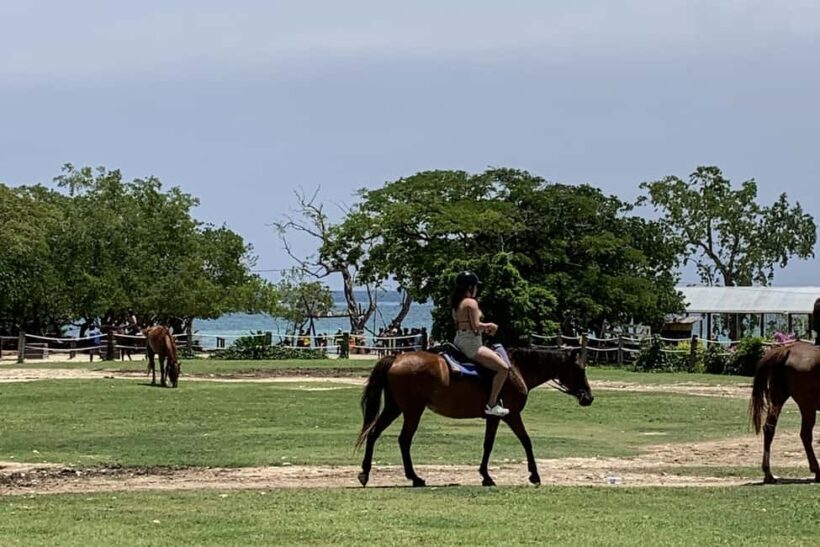 Montego Bay: Day Trip with Zipline, ATV, and Horseback Ride - Key Points