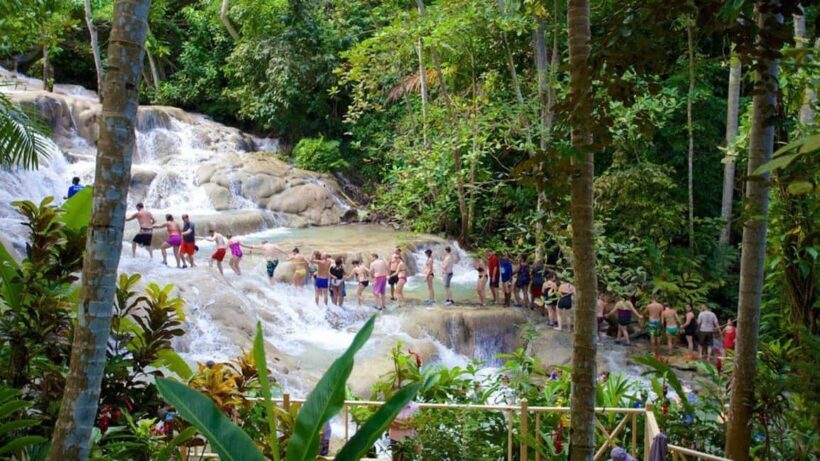 Montego Bay: Dunn's River Falls & Horseback Riding Adventure - Why Travelers Love It (and What You Should Know)