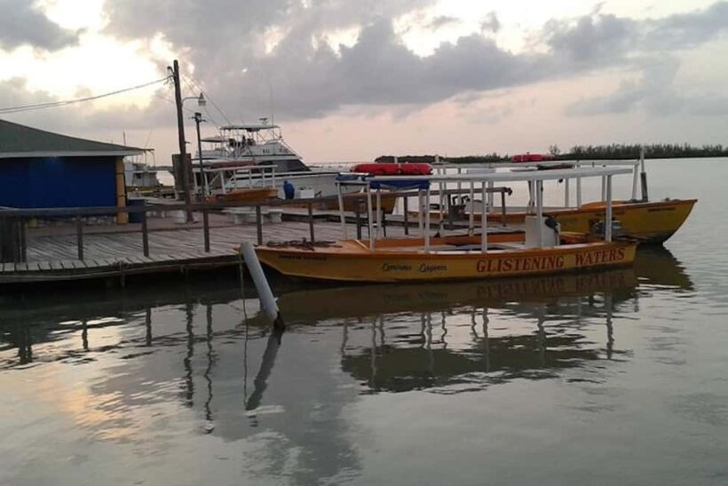 Montego Bay: Dunn's River Falls & Luminous Lagoon Tour - Exploring the Highlights of the Tour