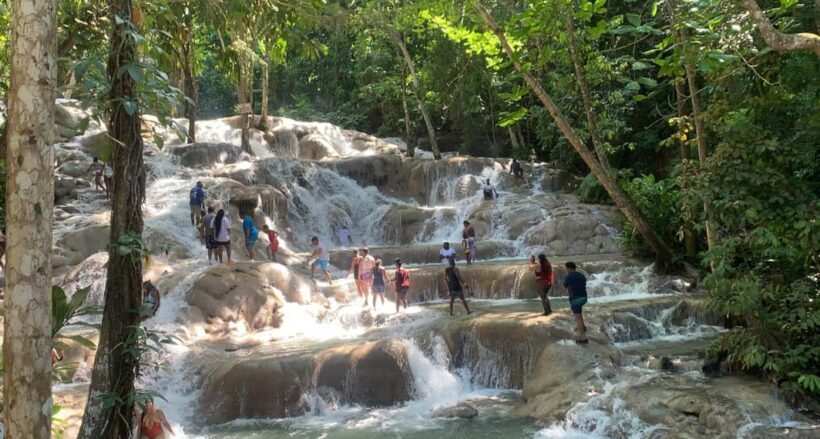Montego Bay: Dunn's River Falls Private Excursion - Key Points