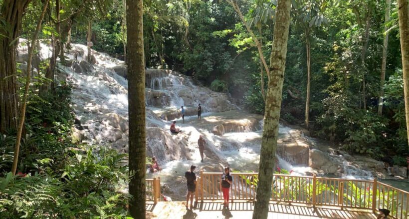 Montego Bay: Dunn's River Falls Private Excursion - Authentic Insights from Actual Travelers