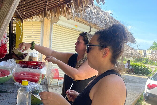 Montego Bay Excursion Tours with Round Trips and Pick Ups - Who Would Enjoy This Tour?