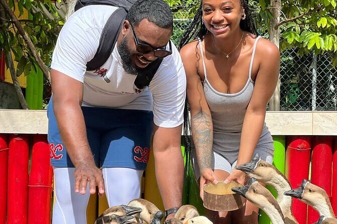 Montego Bay Exotic Herbs, Birds and Animals Interaction Tour - Weather and Flexibility