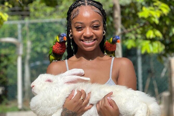 Montego Bay Exotic Herbs, Birds and Animals Interaction Tour - Worth It? Analyzing the Value