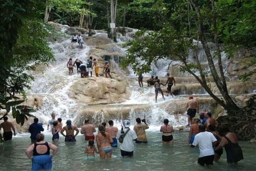 Montego Bay: Guided Tour of Dunn's River Falls and Park - The Natural Pools and Water Massage Experience