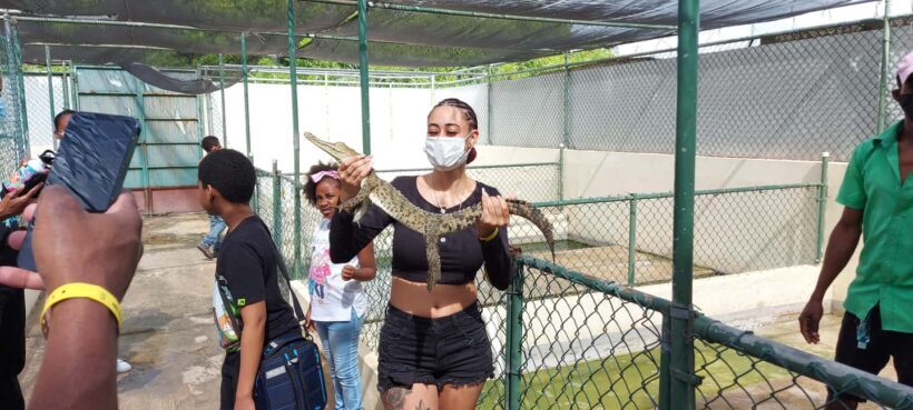 Montego Bay: Half-Day Black River Safari - Final Thoughts: A Genuine Jamaica Wilderness Experience