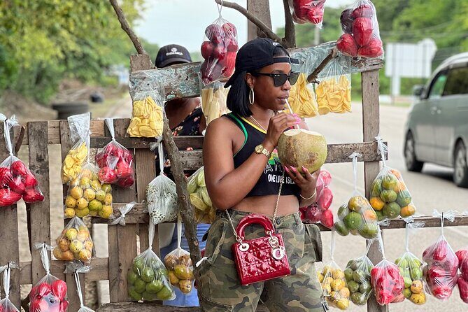 Montego Bay highlights A scenic sightseeing adventure - Who Should Consider This Tour?