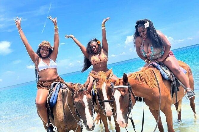 Montego bay horseback ride and swimming Adventure - The Itinerary: What to Expect