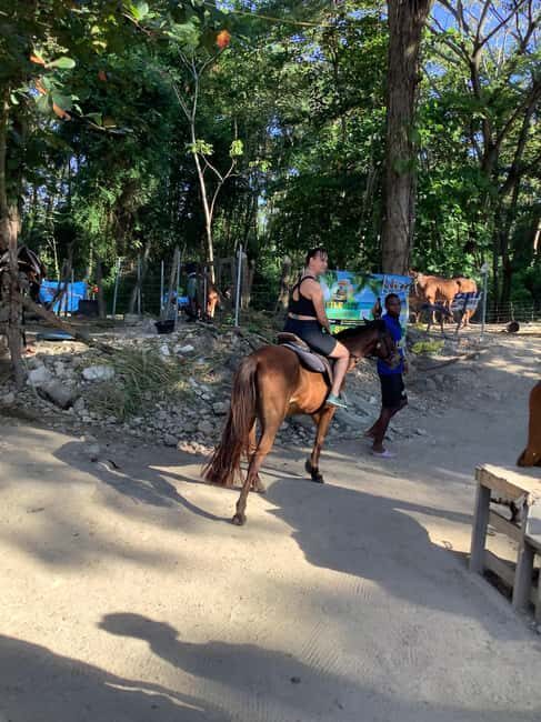Montego Bay: Horseback Riding and Dunn's River Falls Tour - Key Points