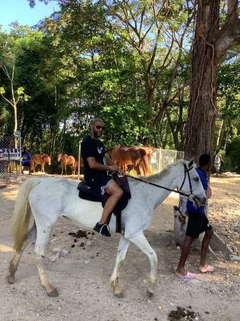 Montego Bay: Horseback Riding and Dunn's River Falls Tour - Final Thoughts