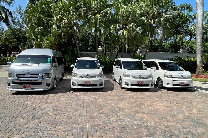 Montego Bay Hotels Private Transfers - Summary: Who Should Consider This Service?